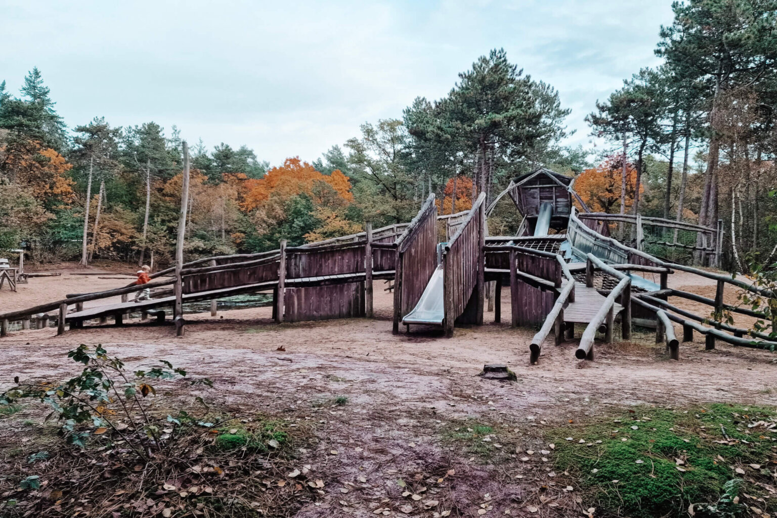 Speelbossen in Nederland - overzicht van de leukste speelbossen!