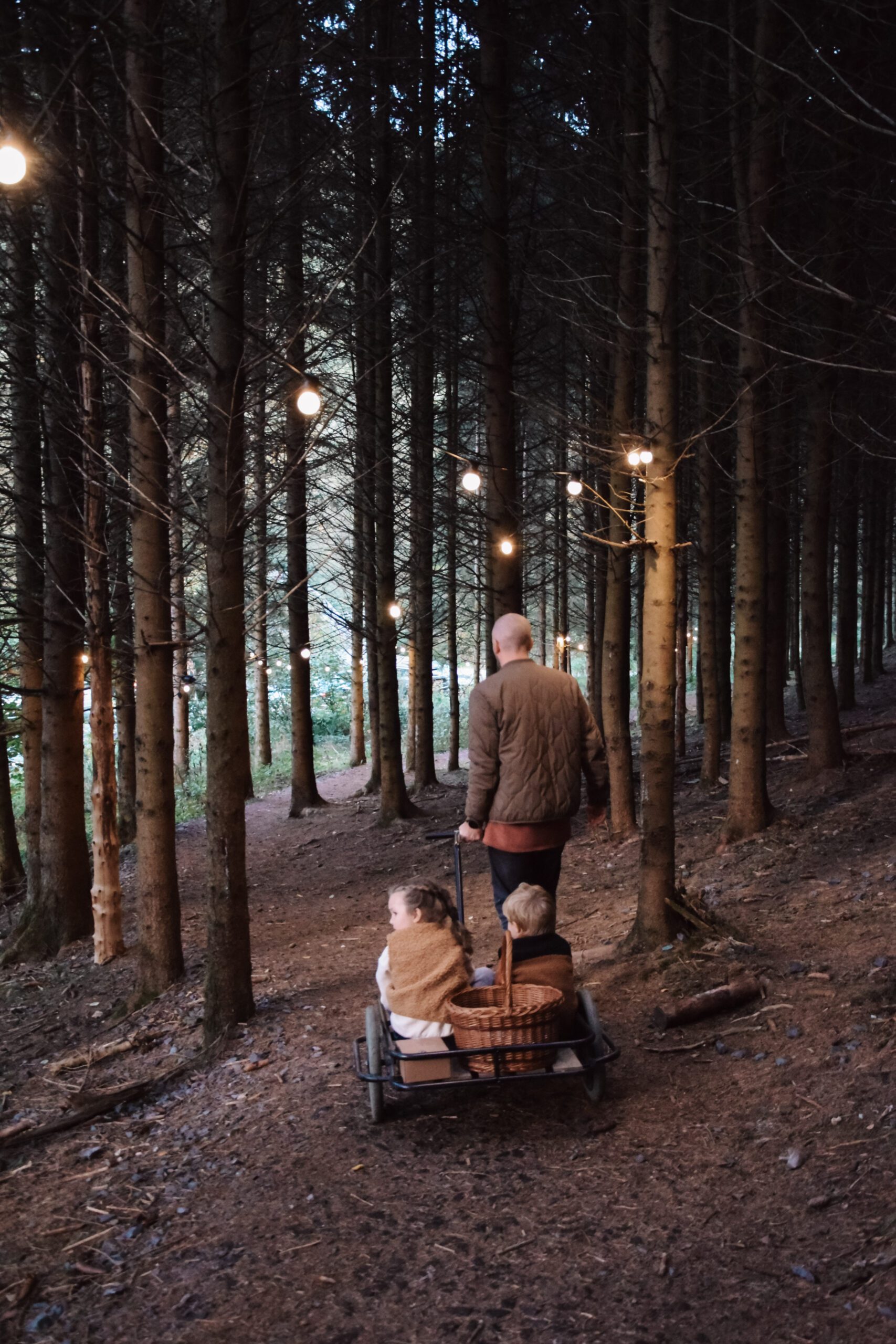 Nutchel Ardennen: Cosy Cabins in het bos - travelwithkids.net