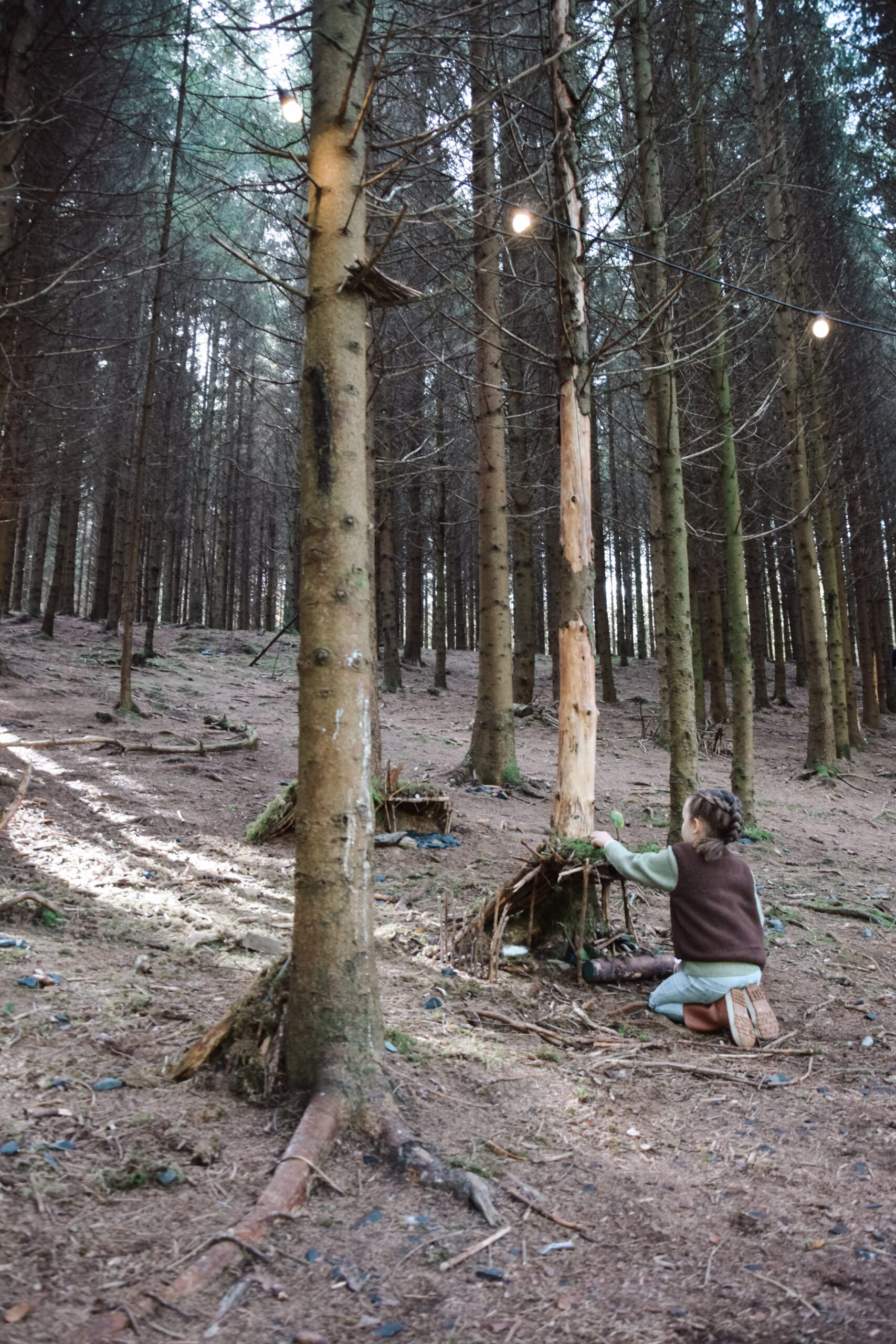 Nutchel Ardennen: Cosy Cabins in het bos - travelwithkids.net